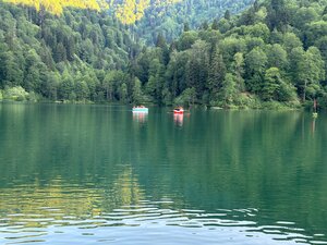Borçka Karagöl Tabiat Parkı (Atanoğlu Köyü, Borçka, Artvin), turistik yerler  Borçka'dan
