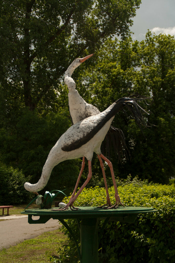 Park, sokak heykeli Аисты, Gomelskaya oblastı, foto
