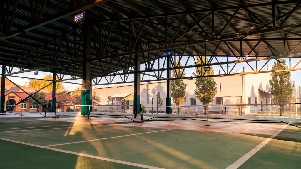 Spor ve eğlence merkezi Pickleball Kulübü, Rostov‑na‑Donu, foto