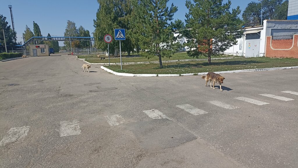 Petrol ve gaz firması Инженерно-технический центр, Saratovskaya oblastı, foto