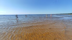 Пляж (St. Petersburg, Sestroretsk), plaj  Sestroretsk'ten