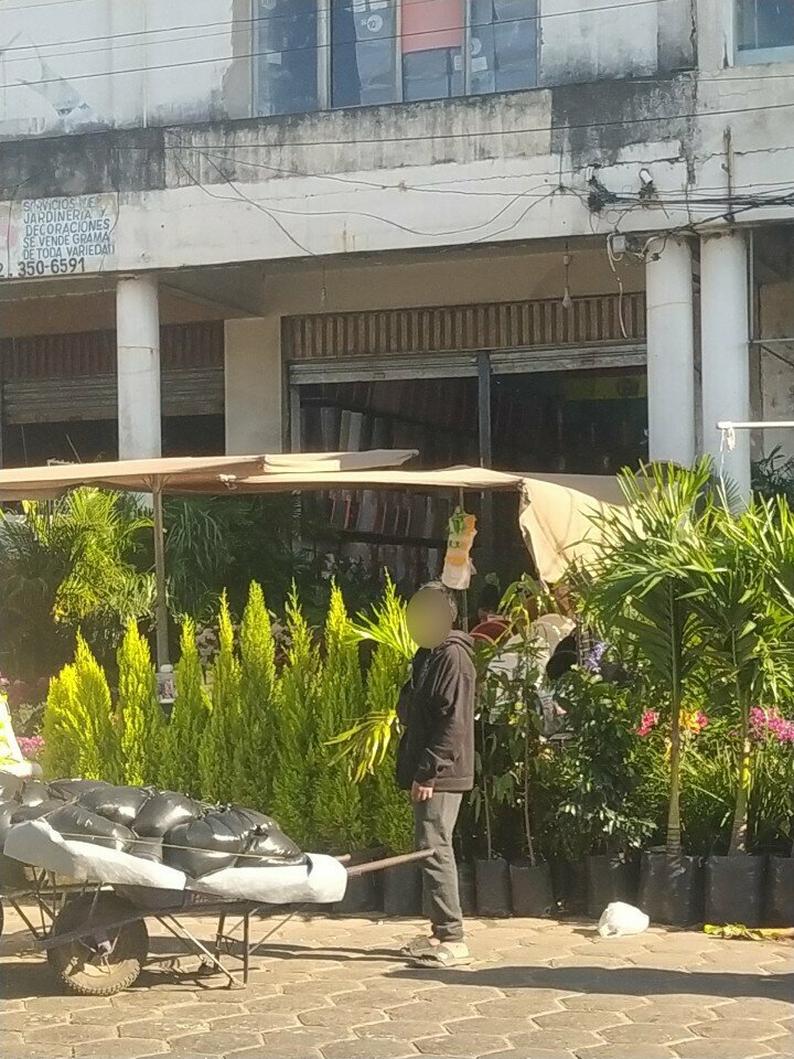 Çiçekçiler Vivero El Sol, Santa‑Krus, foto