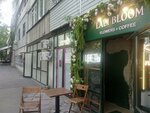 Lali Bloom (Zenkov Street No:31), çiçekçiler  Almatı'dan