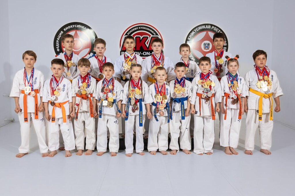 Spor kulüpleri Avalyan Branch, Rostov‑na‑Donu, foto