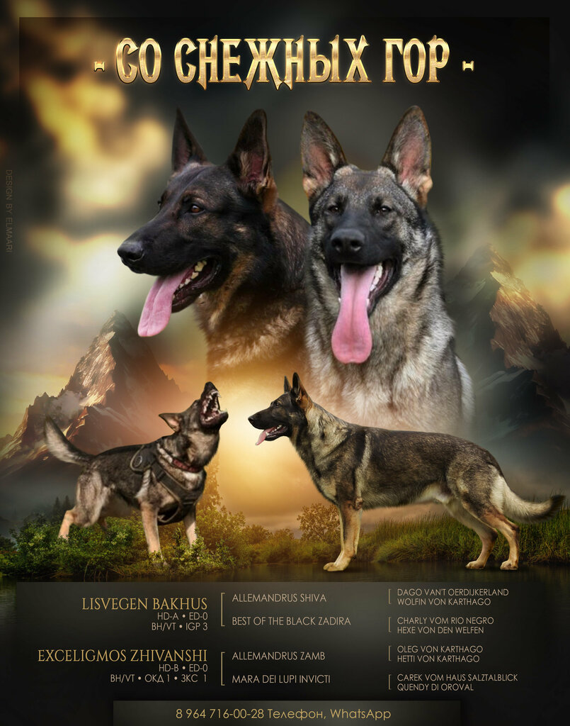 Hayvanat bahçesi merkezi Со Снежных Гор, Moskova ve Moskovskaya oblastı, foto