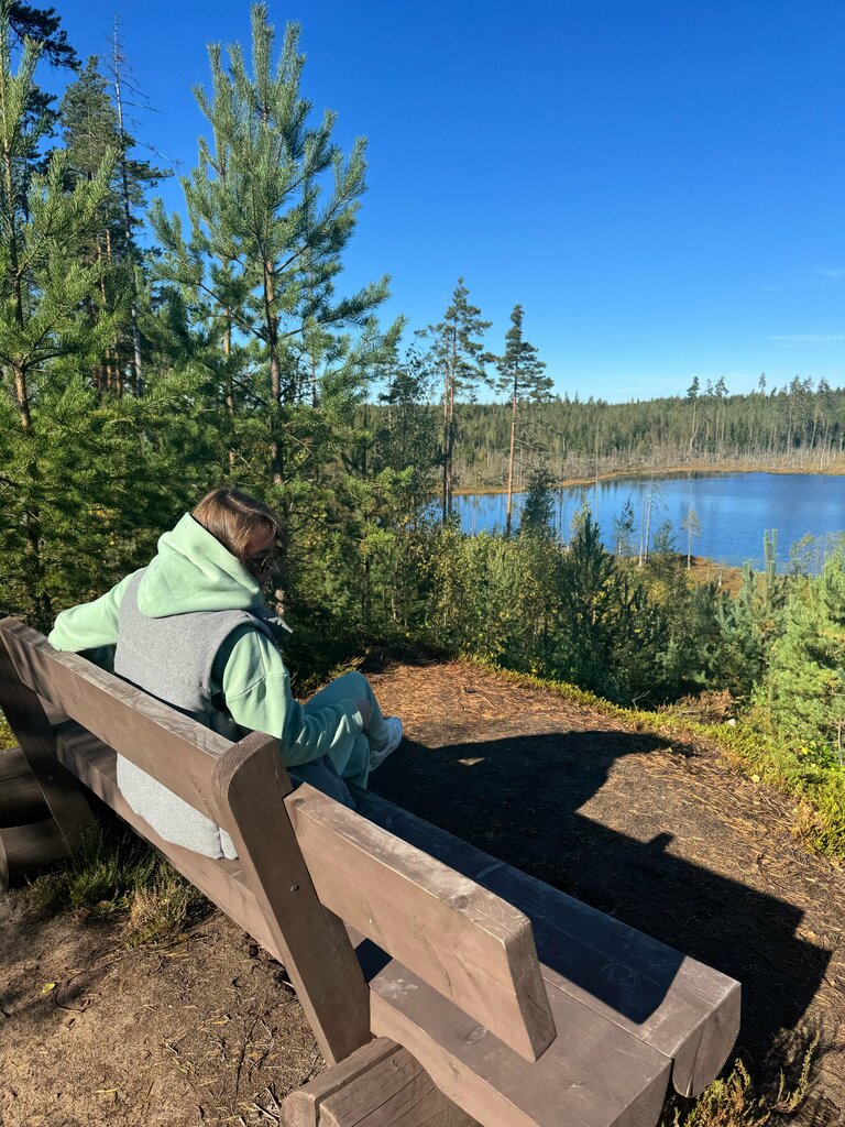 Seyir terası озеро Стайка Большое, Saint‑Petersburg ve Leningradskaya oblastı, foto