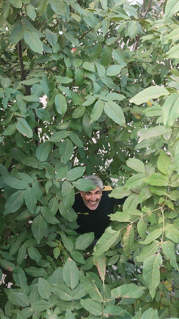 Otel Kutlutaş Plaza, Arnavutköy, foto