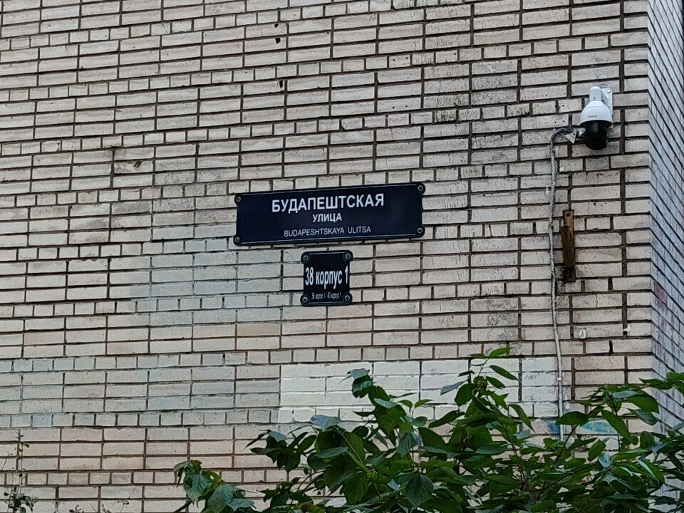 Yazılım firmaları Do-1c, Saint‑Petersburg, foto