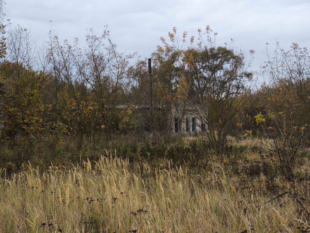 Unutulmaz olayların yeri Хлебопекарня, Brianskaya oblastı, foto