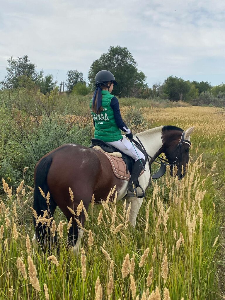At ve binicilik kulüpleri Каскад, Orsk, foto