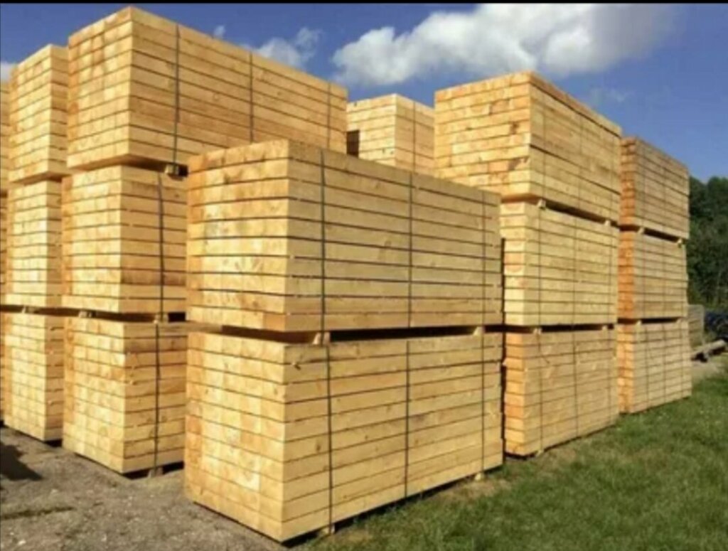 Kereste üretim ve satış şirketleri Экспо-лес, Novgorodskaya oblastı, foto