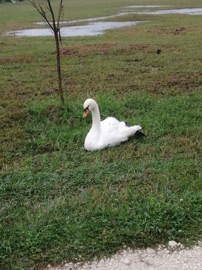Seyir terası Observation deck, Krasnodarski krayı, foto