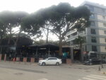 Babil bahçe (İstanbul, Pendik, Batı Mah., Gezi Boyu Cad., 85), kafe  İstanbul'dan
