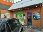 Auto Accessories (Targap kóshesi No:45), oto aksesuarları  Almatı'dan
