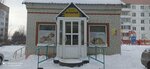 Меркурий (Leninskaya ulitsa No:1Б, posyolok Svetly), kafe  Saratovskaya oblastından