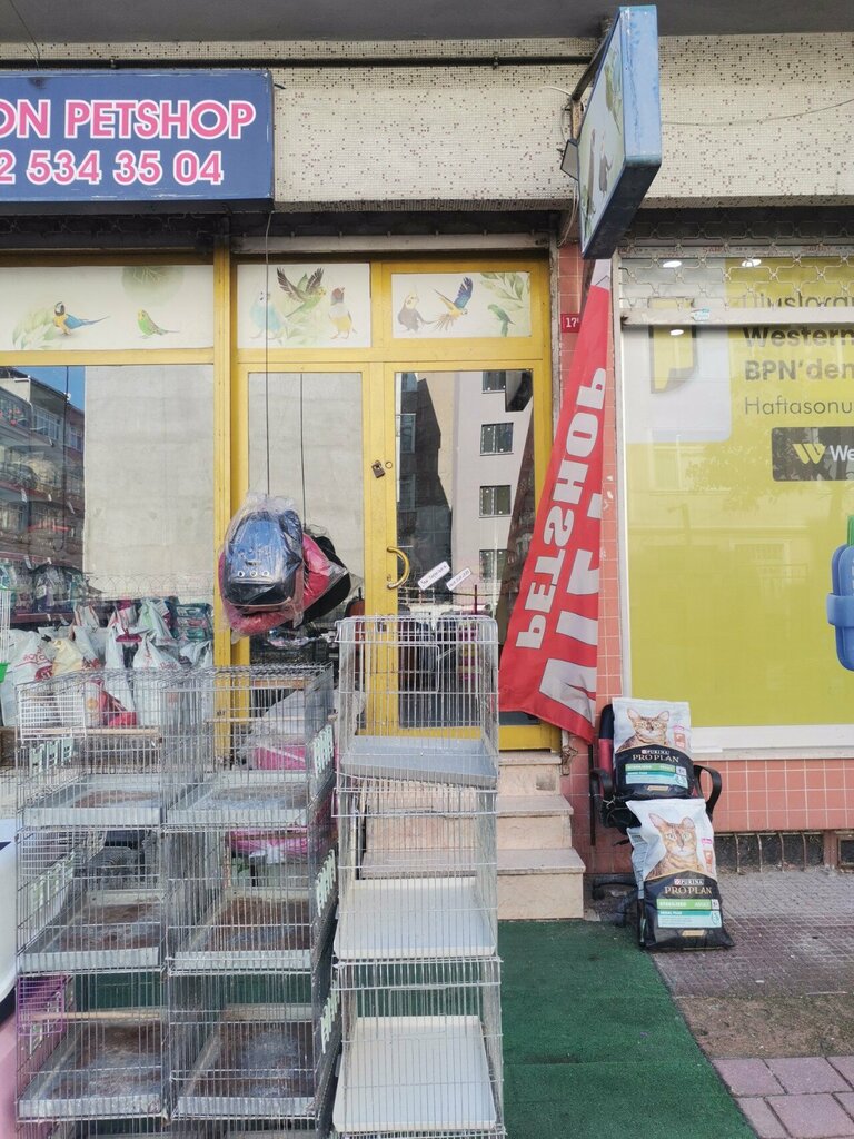 Hayvan barınakları, kulüpleri ve otelleri Vizyon Petshop, İstanbul, foto