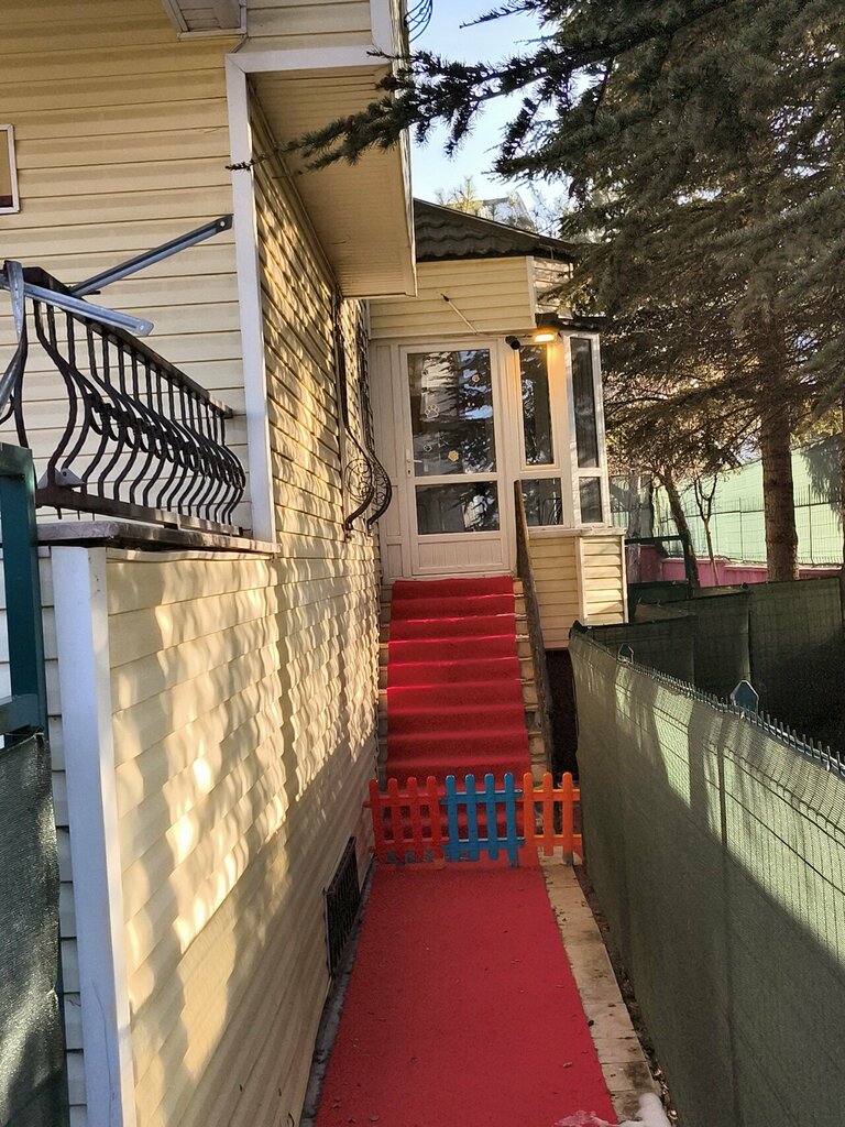 Hayvan barınakları, kulüpleri ve otelleri Pet'n Fun Otel, Ankara, foto
