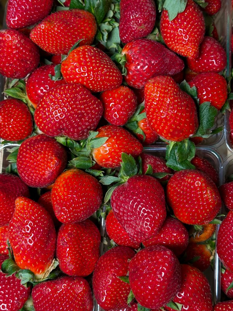 Manavlar Бам-Балан, Perm, foto