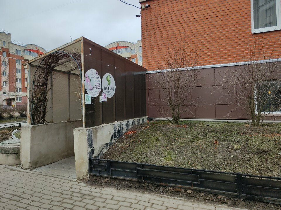 Özel ayakkabı siparişi K. Ing_studio, Puşkin, foto