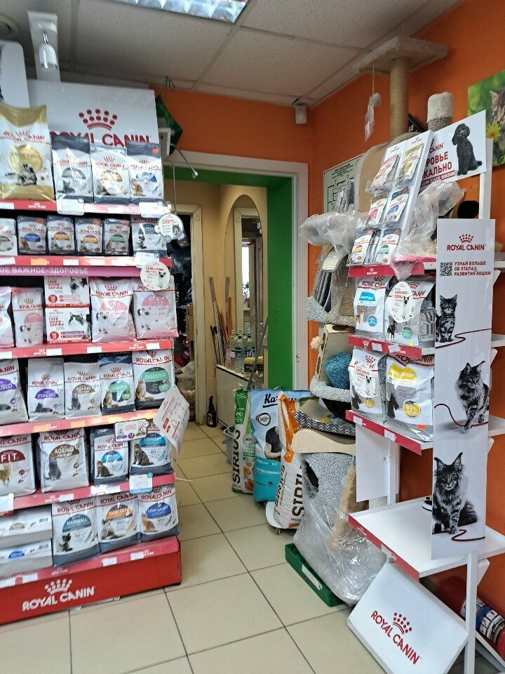 Evcil hayvan kuaförleri Хвостик, Yekaterinburg, foto