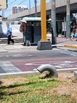Kiosko (Distrital La Victoria, El Porvenir, Avenida Aviación, 2905), market  Lima Bölgesi'nden