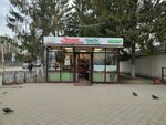 Спелые витамины (Egerskiy Boulevard No:26), manavlar  Cheboksary'den
