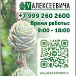 У Алексеевича (Moscow Region, Mytischi, ekspotsentr pitomnikov rasteniy Druzhba), fidan yetiştiriciliği  Mytişçi'den