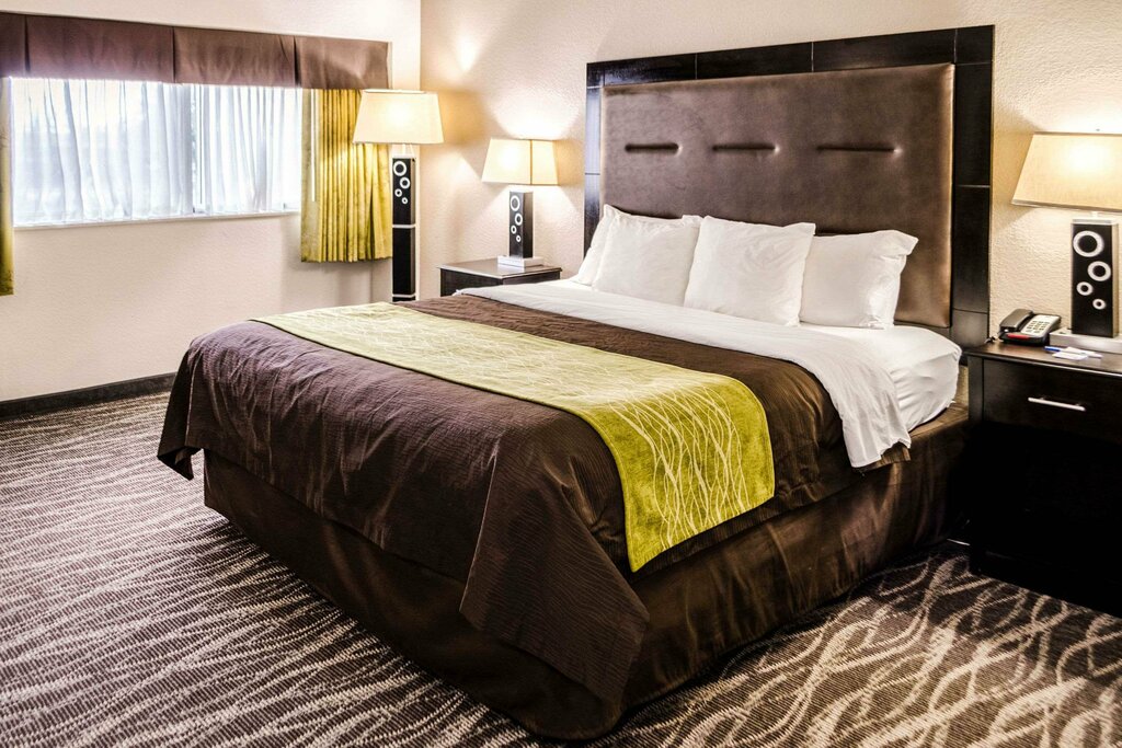 Otel Comfort Inn Downtown Charleston, Güney Carolina, foto