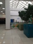 Yamaguchi (Oktyabrya Avenue No:4/1), masaj koltuğu  Ufa'dan