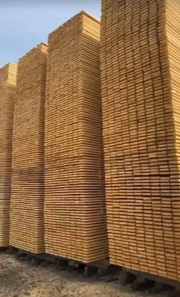 Kontrplak Fanera Globus, Moskova, foto