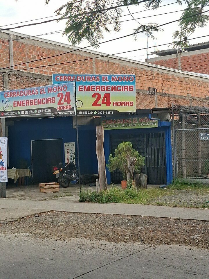 Çilingirler The monkey, Cali, foto