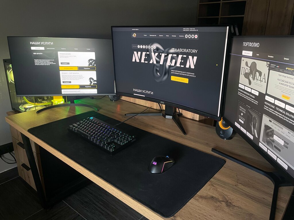 Web tasarım hizmetleri NextGen IT-Laboratory, Moskova, foto