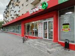 Cats Paradise (Svobody Street No:157), petshop  Çeliabinsk'ten