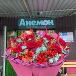 Анемон (Beregovaya Street No:7к1), çiçekçiler  Rostov‑na‑Donu'dan