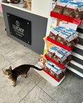 Lucky Veteriner Kliniği (Afyonkarahisar, Afyonkarahisar Merkez, Gazlıgöl Cad., 101B), veteriner klinikleri  Afyonkarahisar'dan