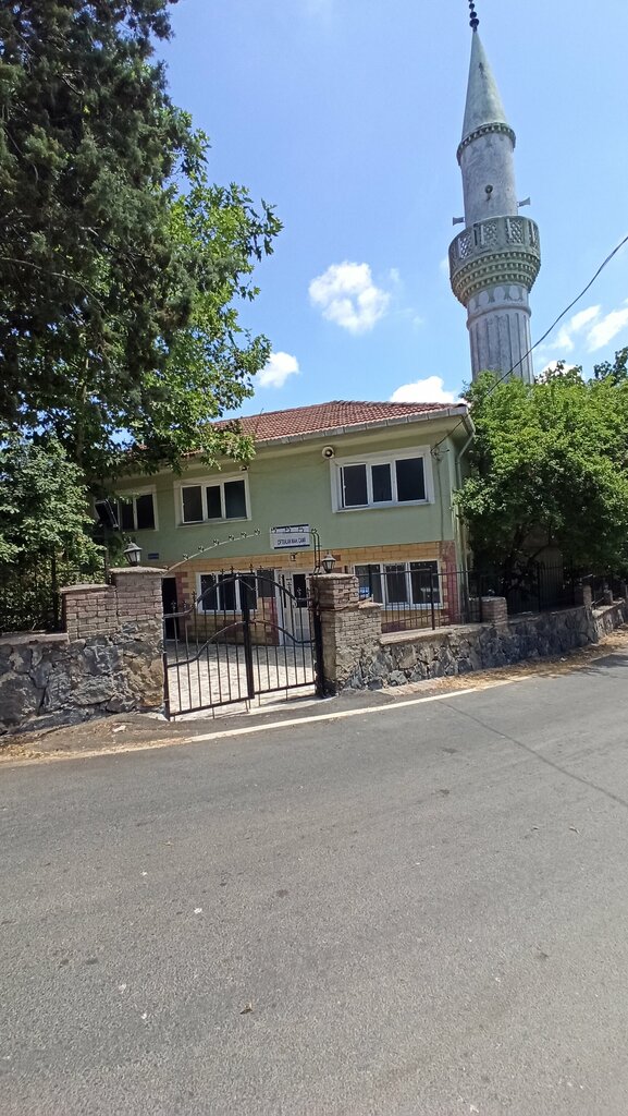 Cami Çiftealan Mahallesi Cami, İstanbul, foto
