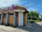 Wildberries (Strokina Street No:12/1), teslimat noktası  Nijni Novgorod'dan
