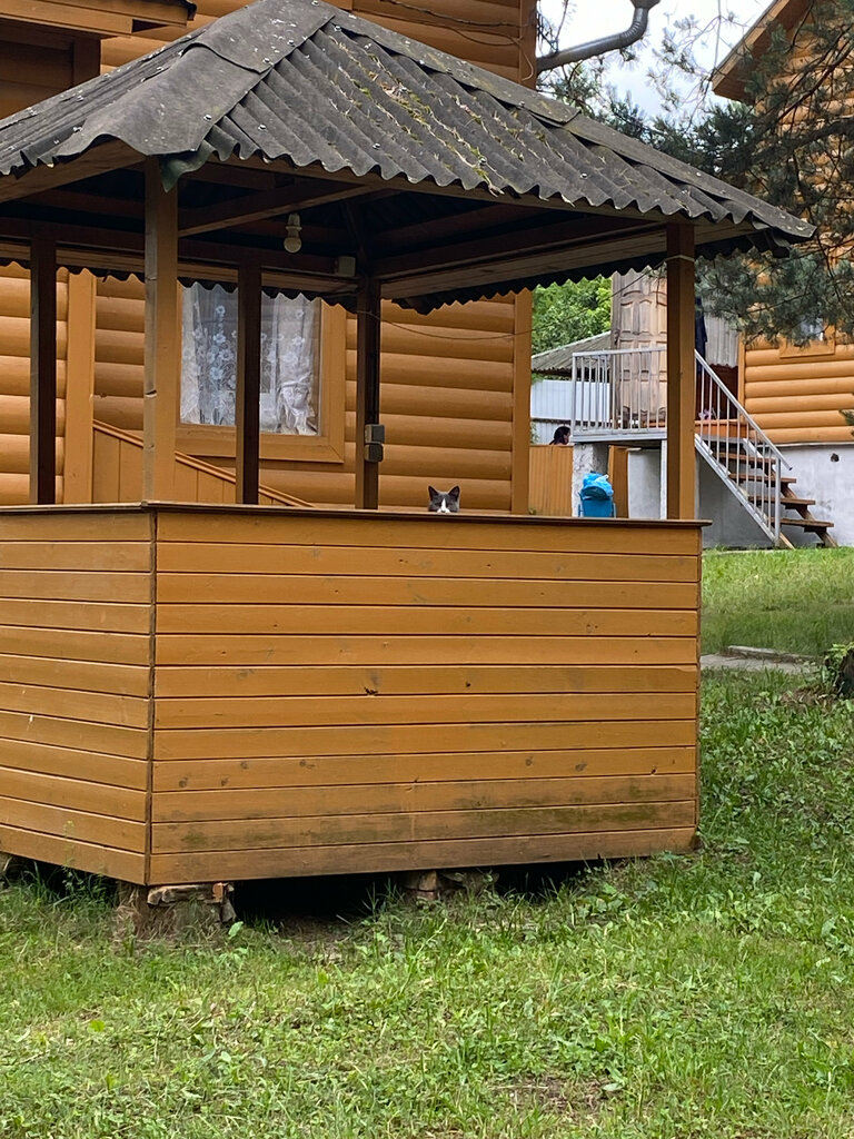 Kafe Берёзовая роща, Tulskaya oblastı, foto