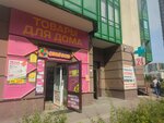 Дом быта (Shuvalova Street No:5), ev hizmetleri