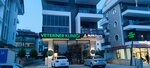 Alfa Sigorta insurance (Antalya, Alanya, Oba Mah., Eski Gazipaşa Cad., 19A), sigorta acentaları  Alanya'dan