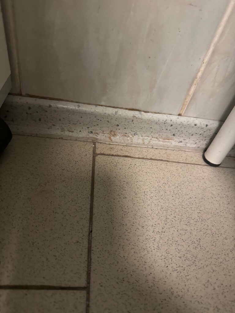 Hastane bölümü Infektsionnoye otdeleniye Tsentralnoy Rayonnoy Bolnitsy, Muz, Gulkeviçi, foto