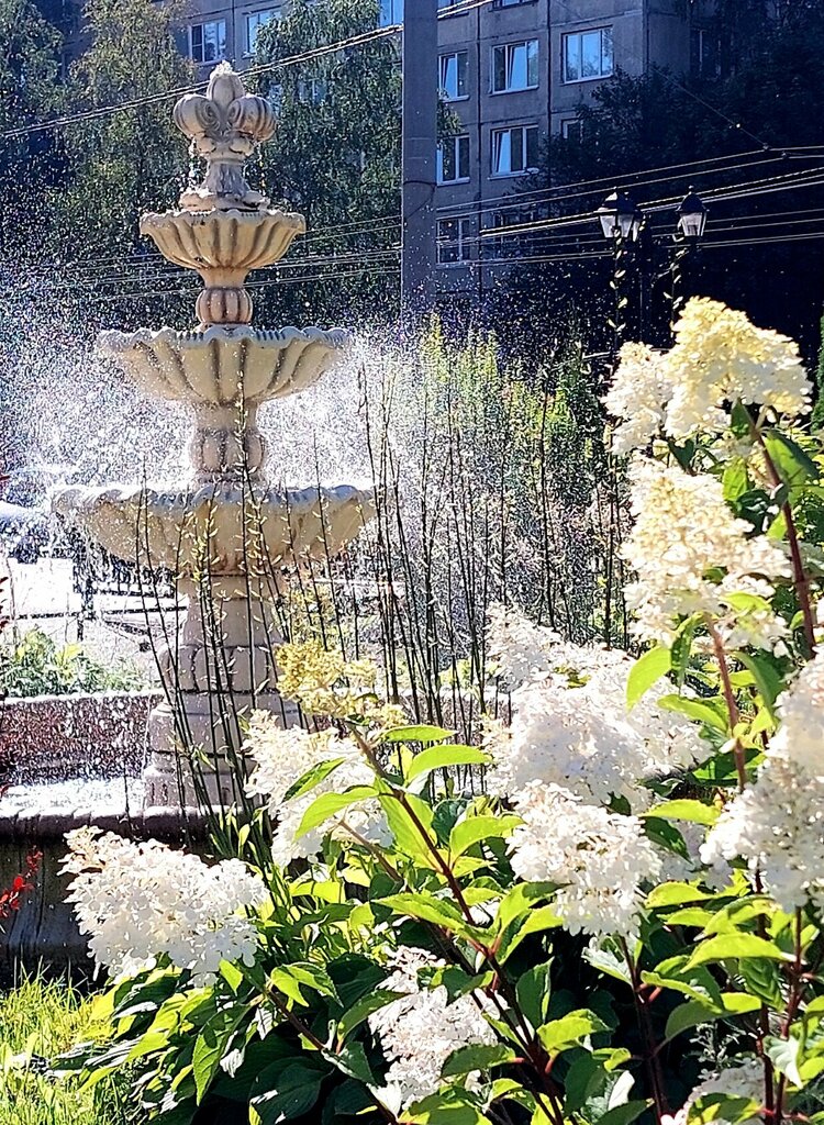Çeşme Fountain, Saint‑Petersburg, foto