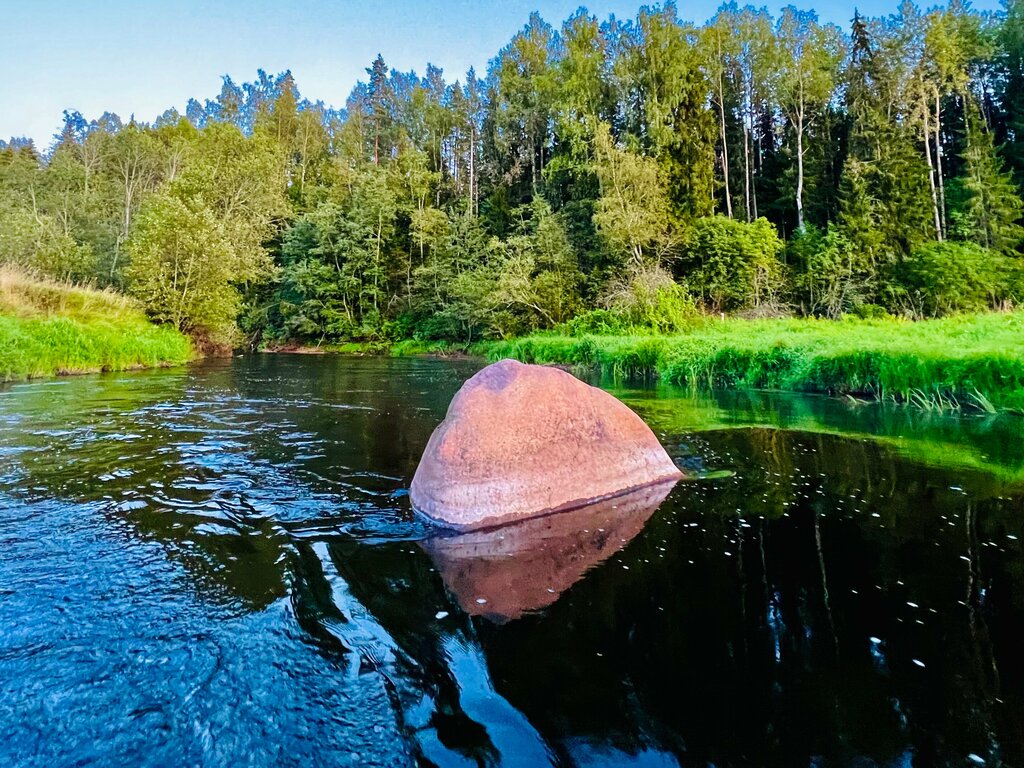 Doğa Ведун-камень, Saint‑Petersburg ve Leningradskaya oblastı, foto