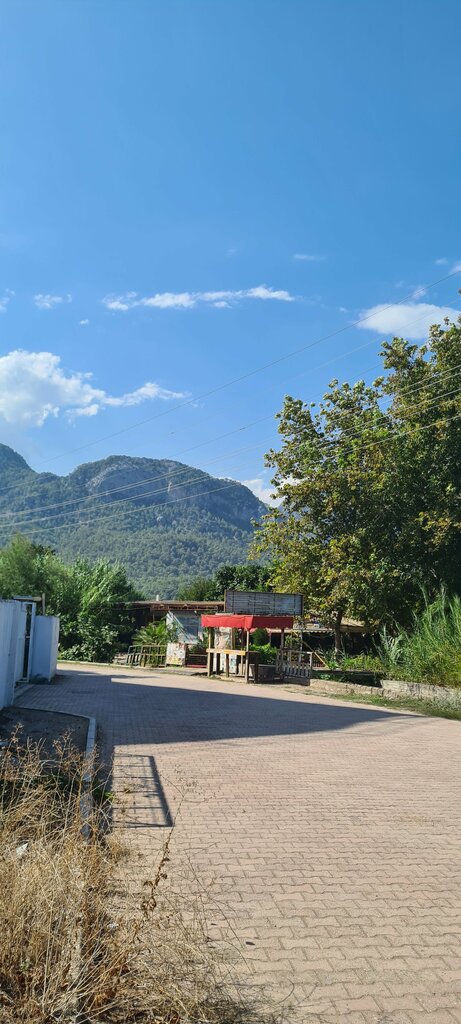 Bar Natur Restoran Cafe Bar, Kemer, foto