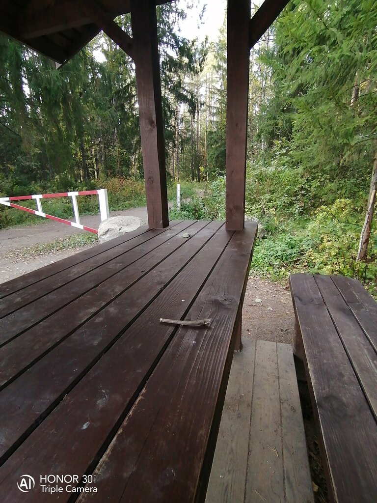 Çardak Gazebo, Saint‑Petersburg, foto