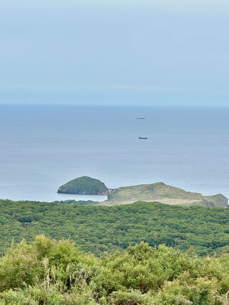 Dağ zirvesi Гора Открытая 253 метра, Primoriye, foto