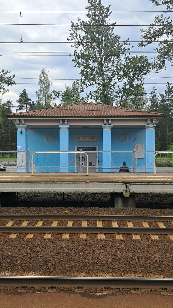 Anıt levhası, anıt taş Академик В.Л. Комаров, Saint‑Petersburg, foto