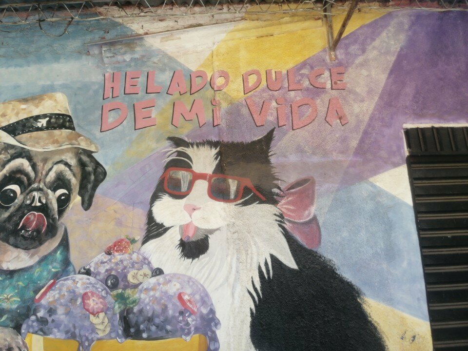 Dondurmacılar Helado Dulce De Mi Vida, Santa‑Krus, foto
