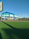 Tsentr sportivnykh meropriyaty i fizkulturno-massovoy raboty (Vladimira Vysotskogo Street No:19А), spor kulüpleri  Noyabrsk'dan