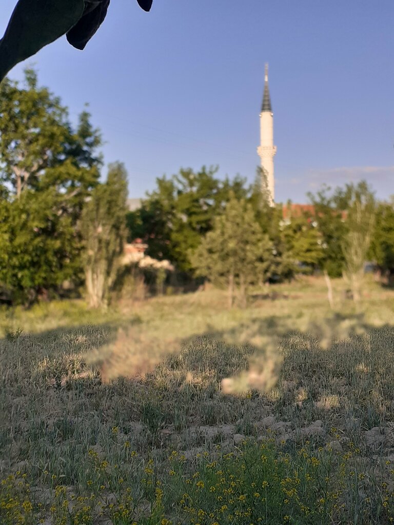 Cami Karamık Köyü Yeni Cami, Çay, foto